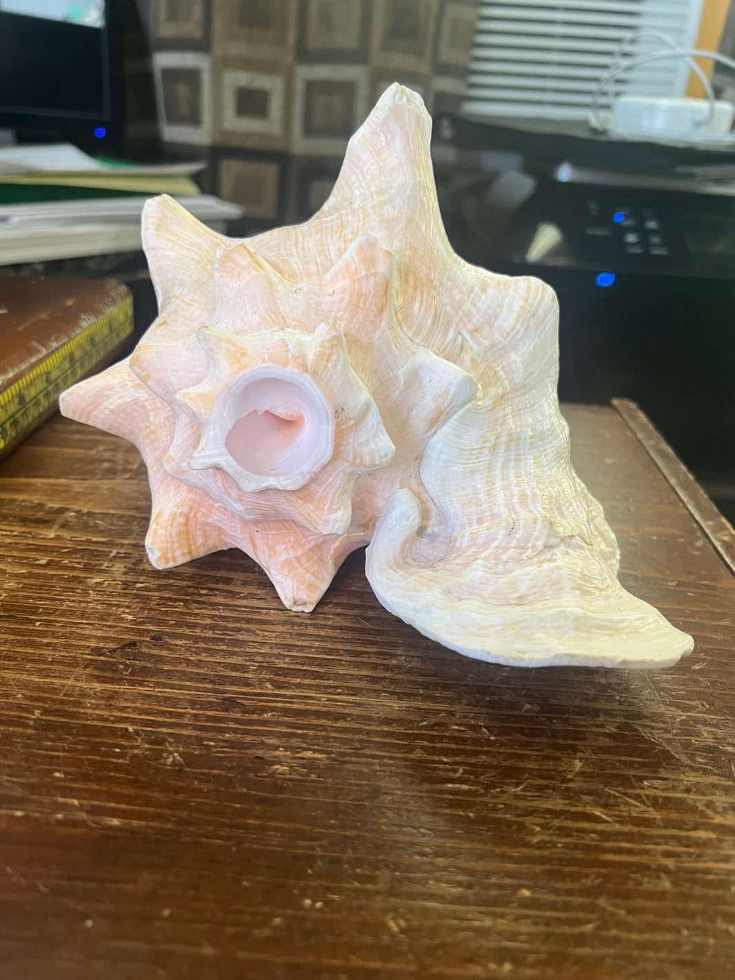 Products – Page 2 – MEXICA TRIBE